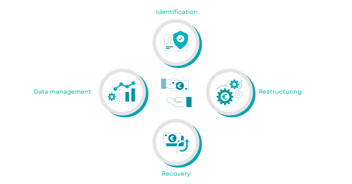 Non-Performing Loans: Causes and Management